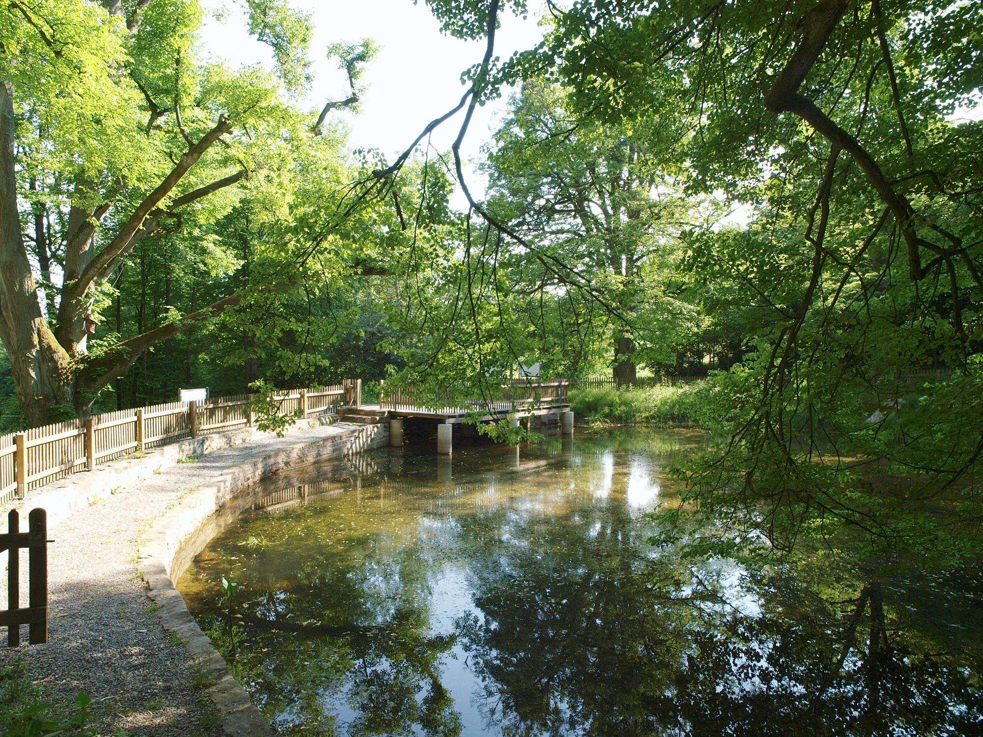 Rhön-Rundweg 3 Bad Bocklet - rhönführer.de
