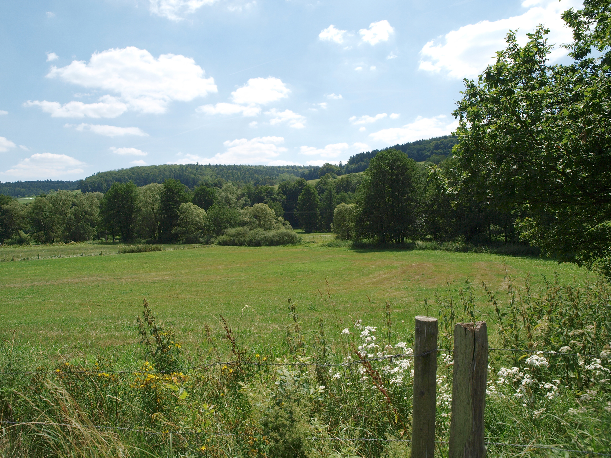 Rhön-Rundweg 3 Sinntal - rhönführer.de