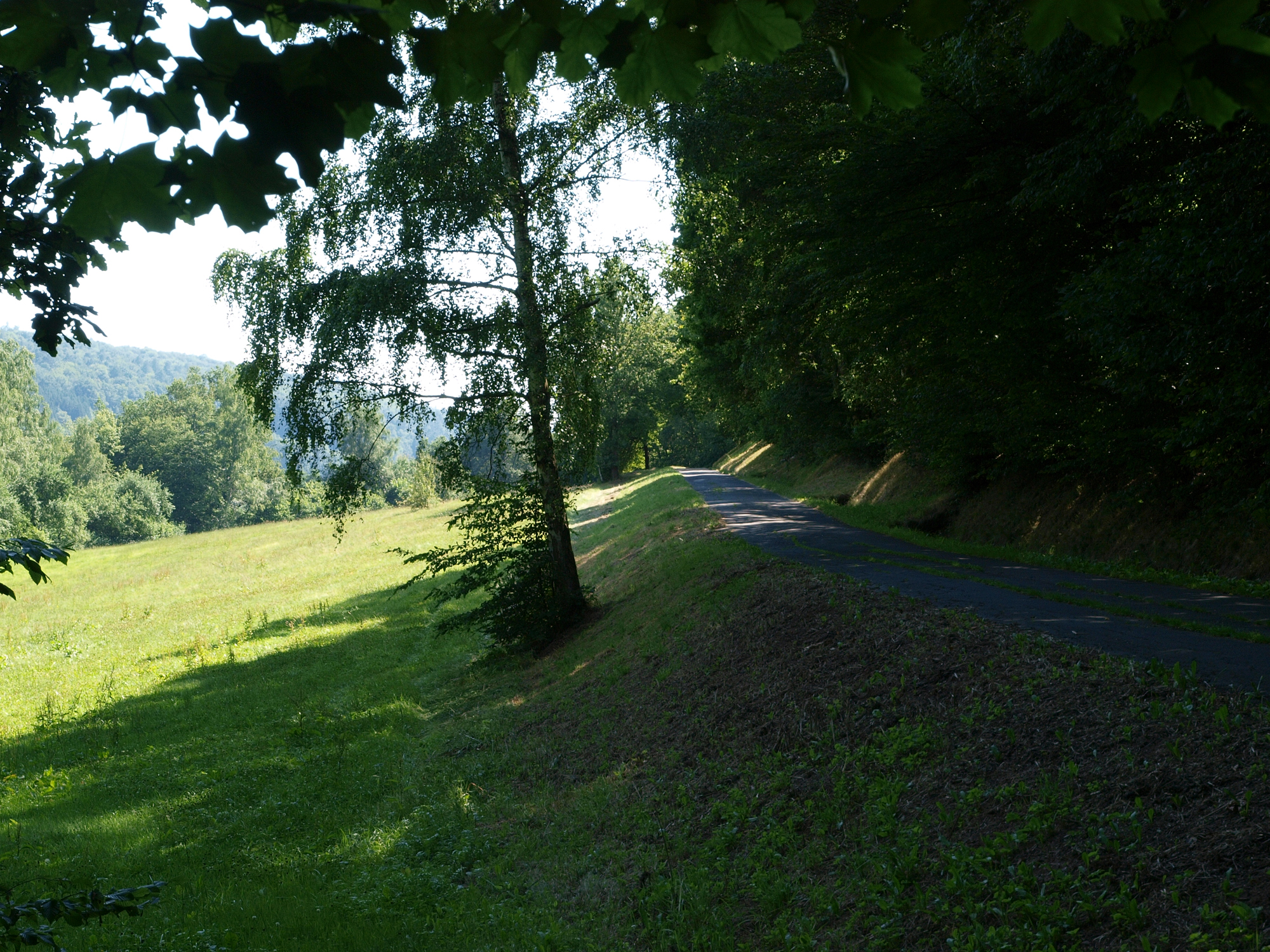 Rhön-Rundweg 7 Sinntal - rhönführer.de