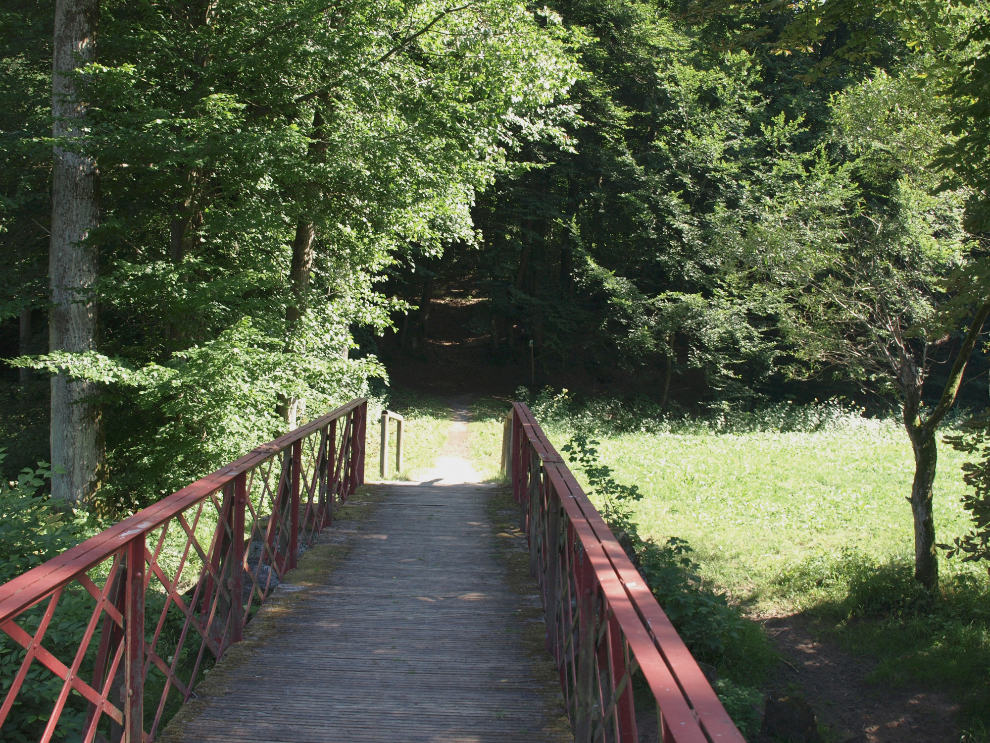 Rhön-Rundweg 9 Sinntal - rhönführer.de