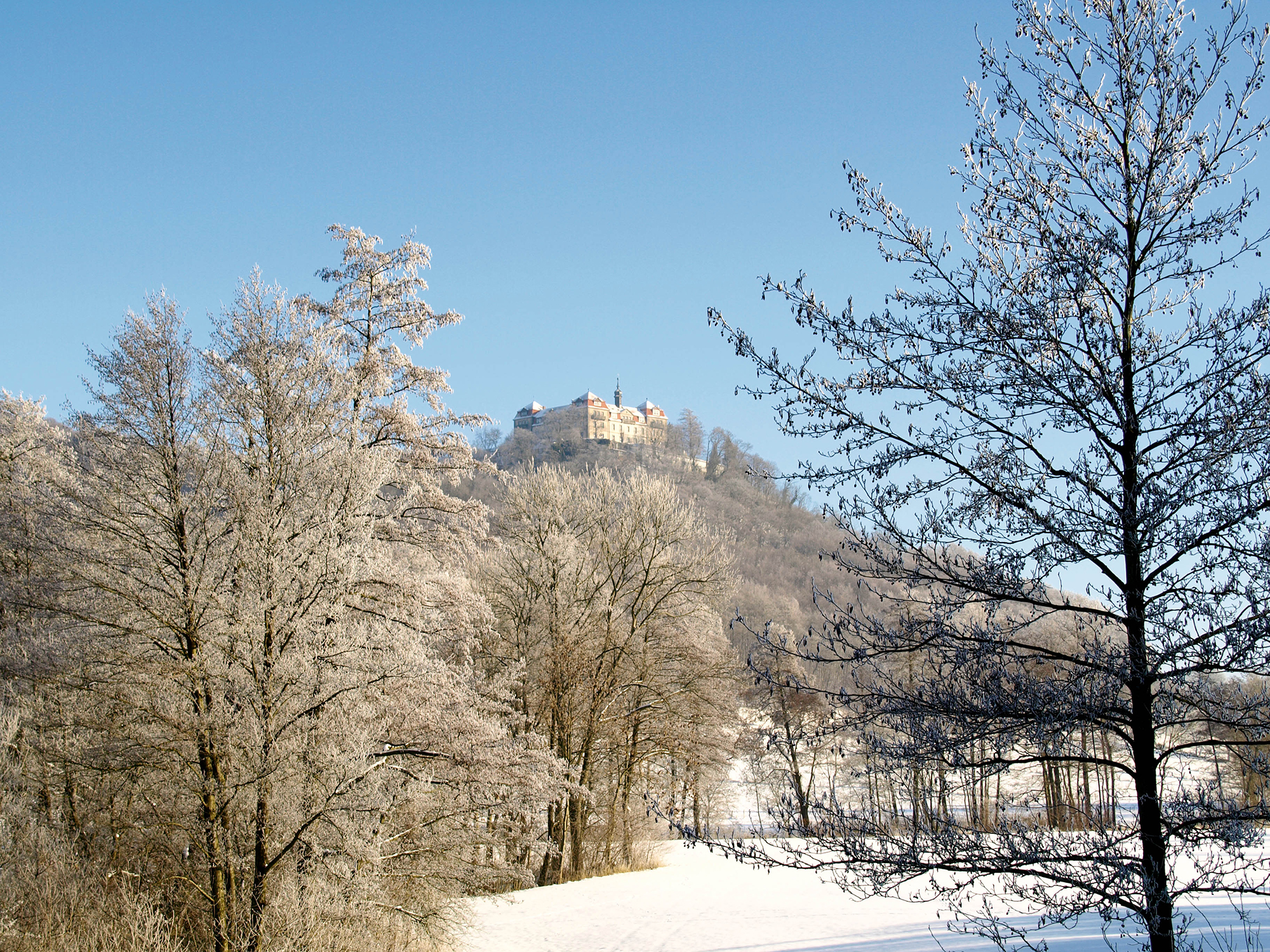 Schloss Bieberstein - rhönführer.de