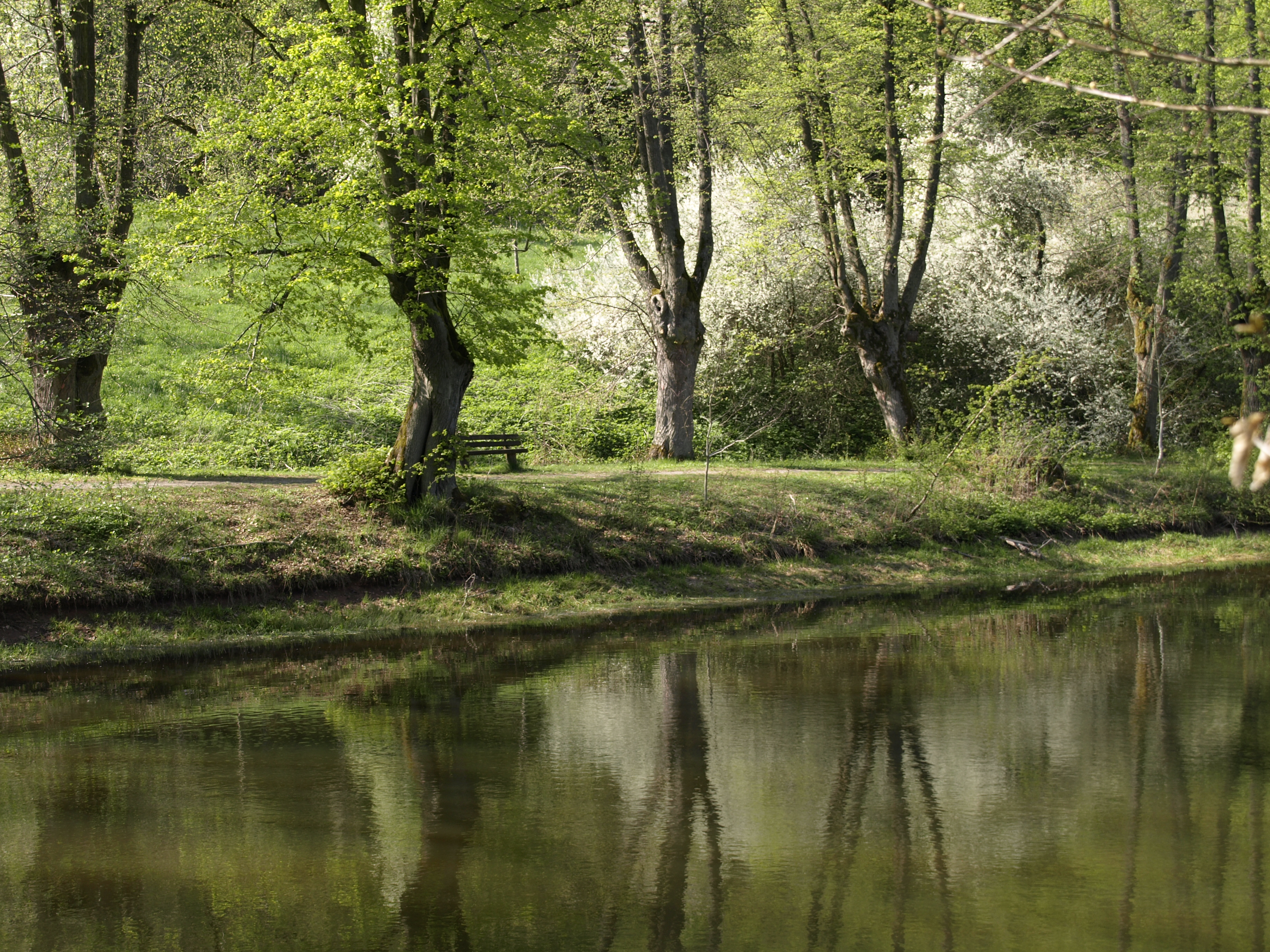 Naturlehrgarten Fohlenweide - rhönführer.de