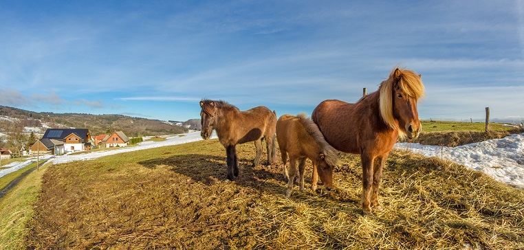 Ferienwohnung Hohe Rhön – Mosbach - rhönführer.de