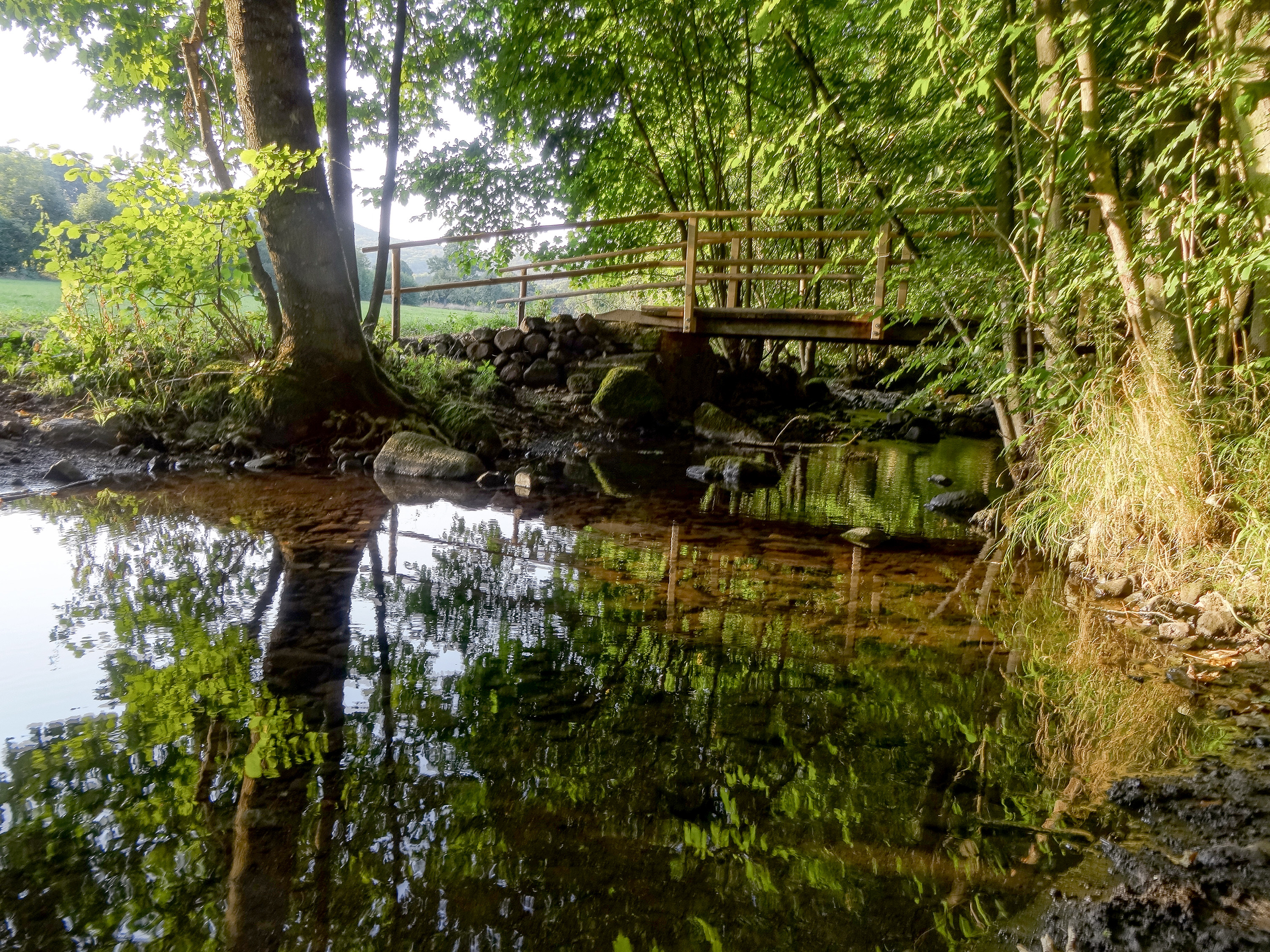 Rhön Rundweg 6 Oberelsbach - rhönführer.de
